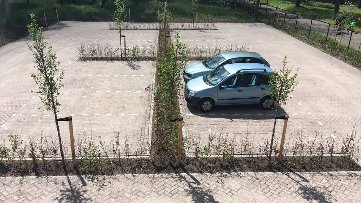 Stichting De Zevenhoek bijzondere samenwerking met Steven Boink ...